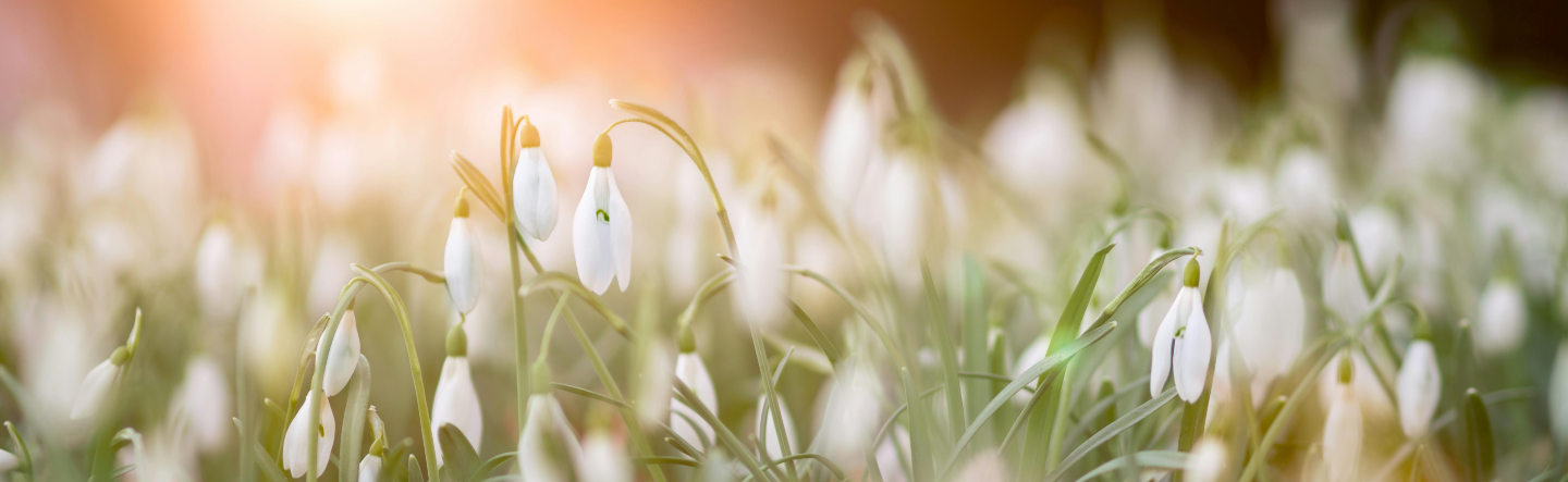 Getting Started with Spring Boot: An Introduction for Coding Beginners