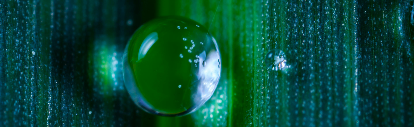 How to Install Pop!_OS on Linux