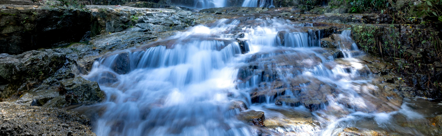 The Stream API in Java Programming