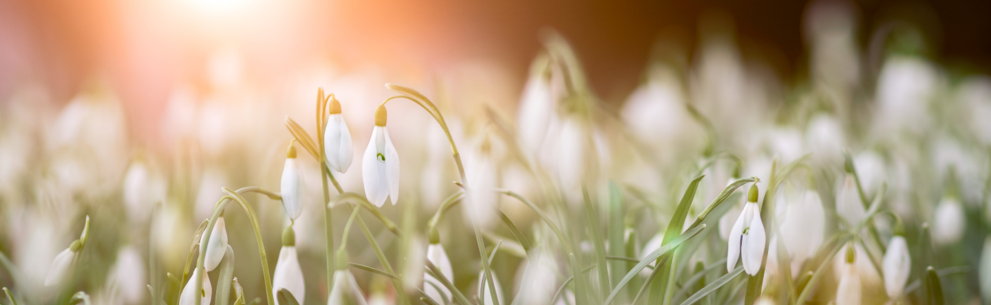 Using TaskExecutor in Spring