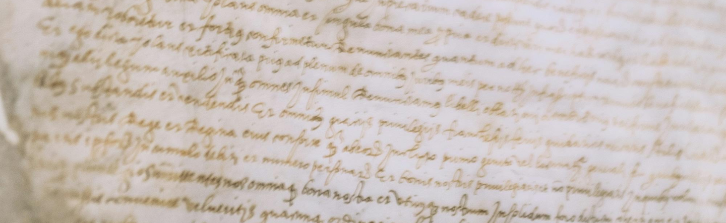 What Are the Most Popular Scripting Languages?