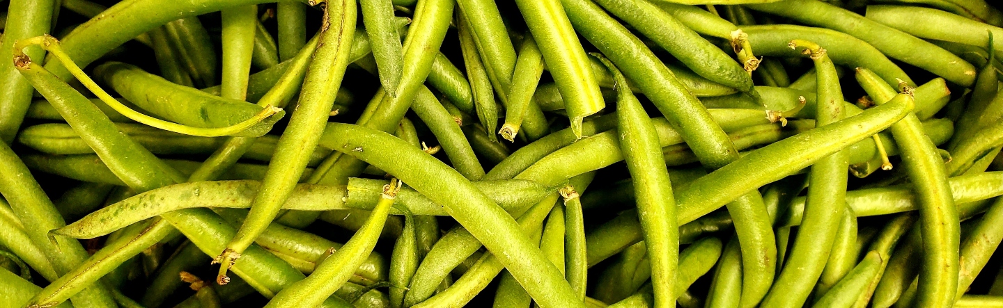 What Is a Spring Container?